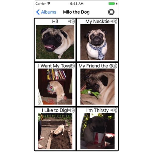 Click n' Talk | Communication Boards